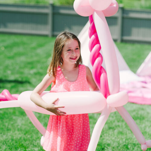 Casey - The Twisted Balloon Company
